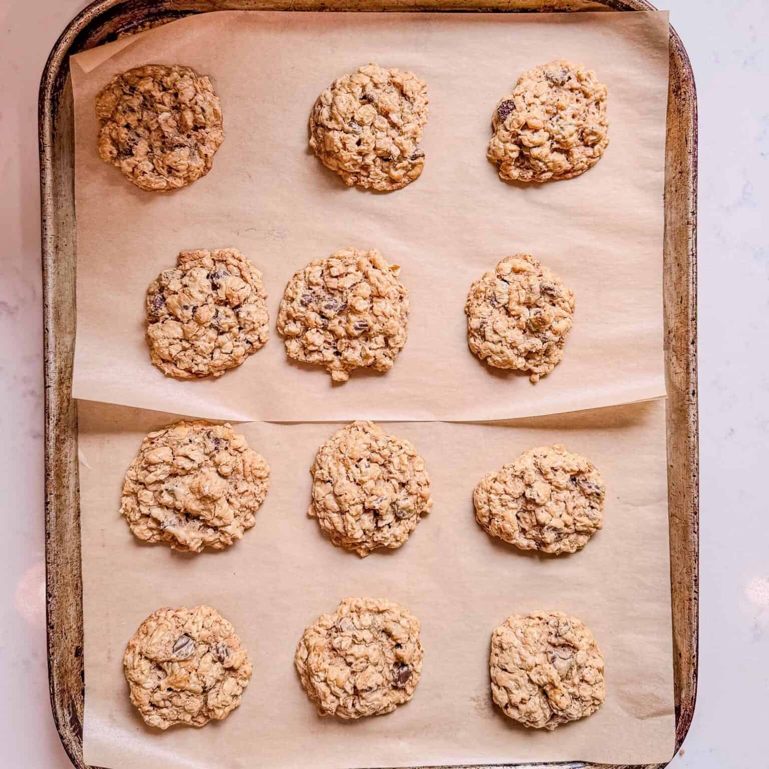 Peanut Butter Oatmeal Chocolate Chip Protein Cookies (Gluten-Free ...